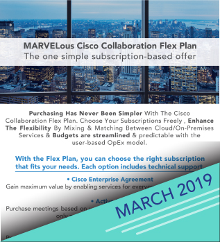 Past Newsletter